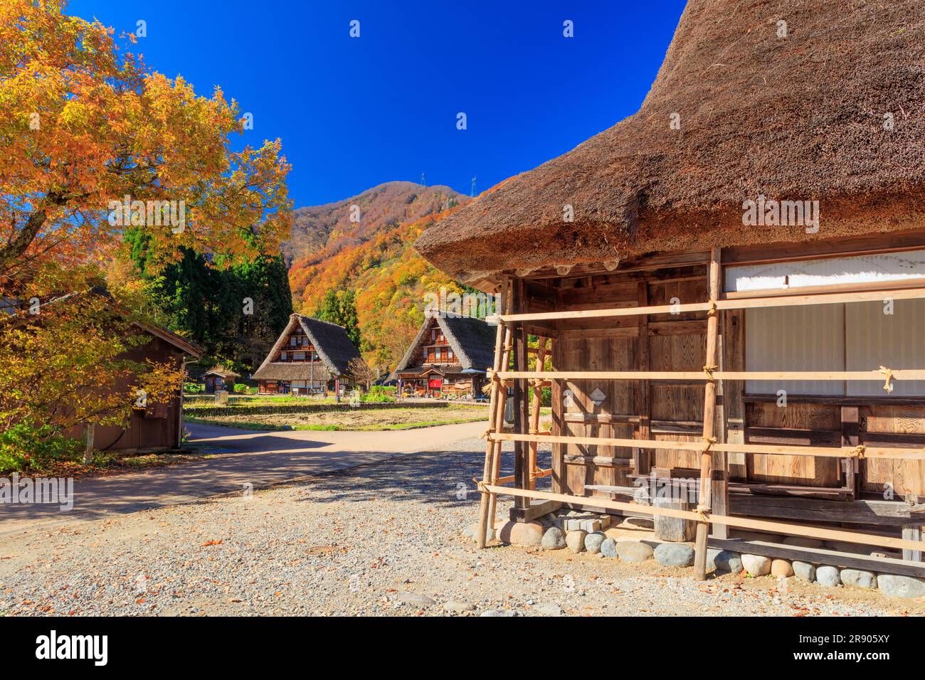 Suganuma Gassho-Zukuri Village in autumn leaves Stock Photo - Alamy