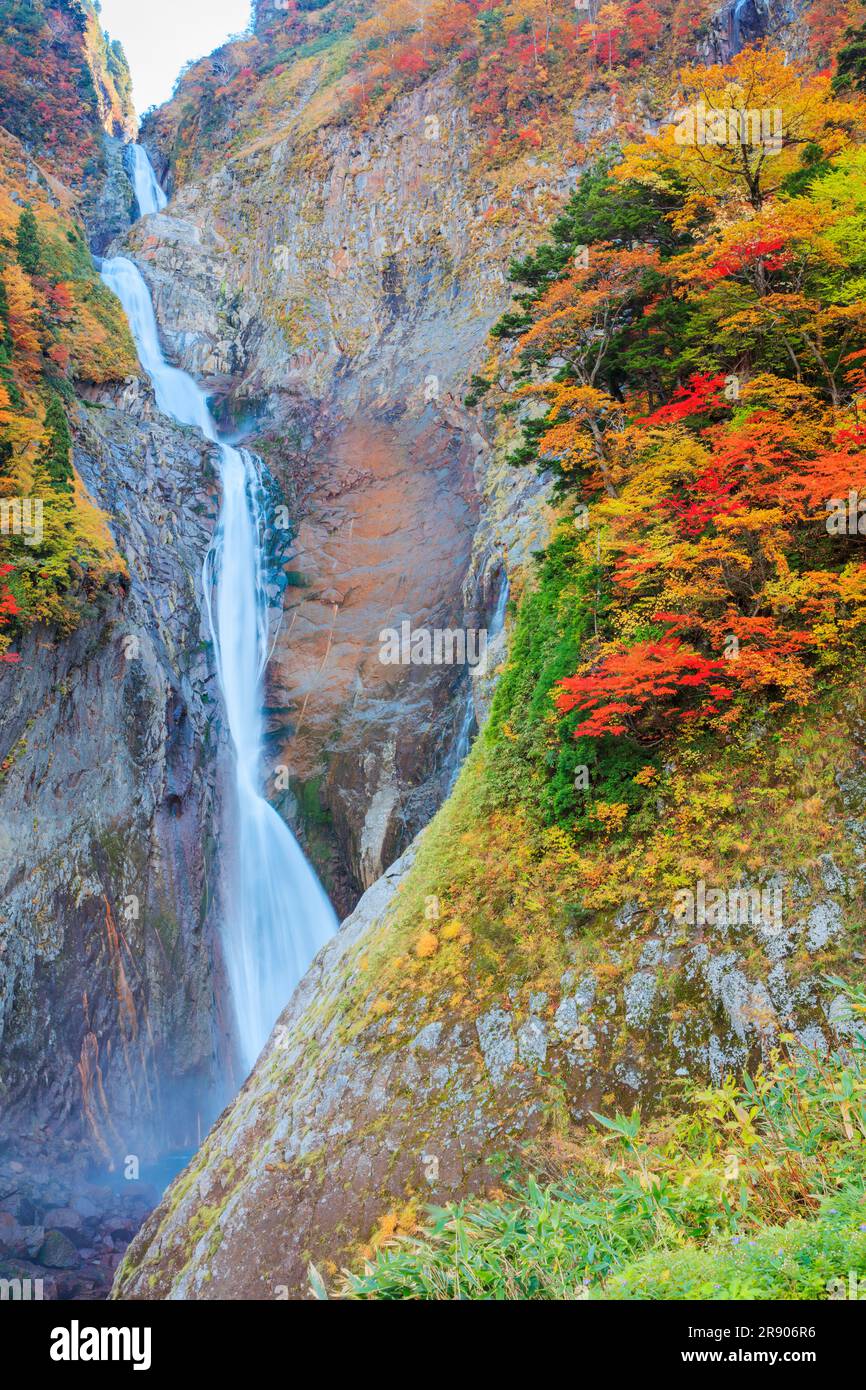 Shomyo Falls in Autumn Leaves Stock Photo - Alamy