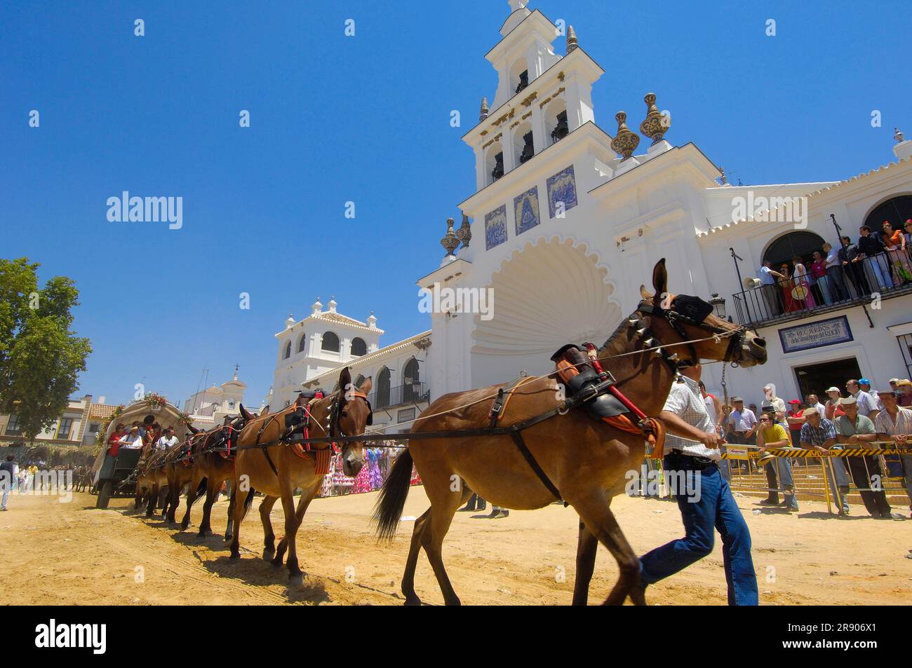 Pilgrim, Romeria pilgrimage to El Rocio, Huelva, Andalusia, Spain, mule ...