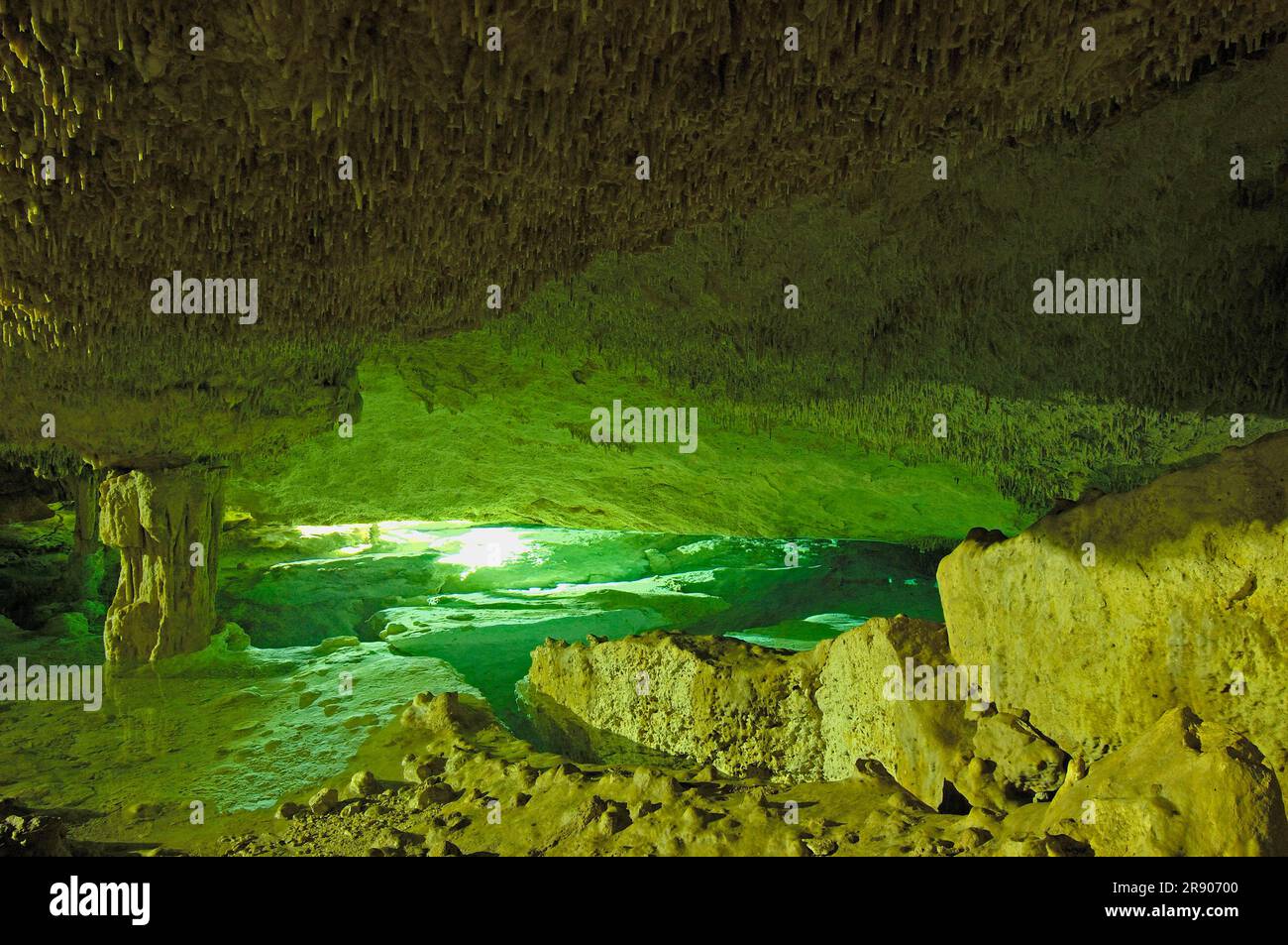 Cenote, Hidden Worlds Cenotes Park, Tulum, Riviera Maya, Quintana Roo ...