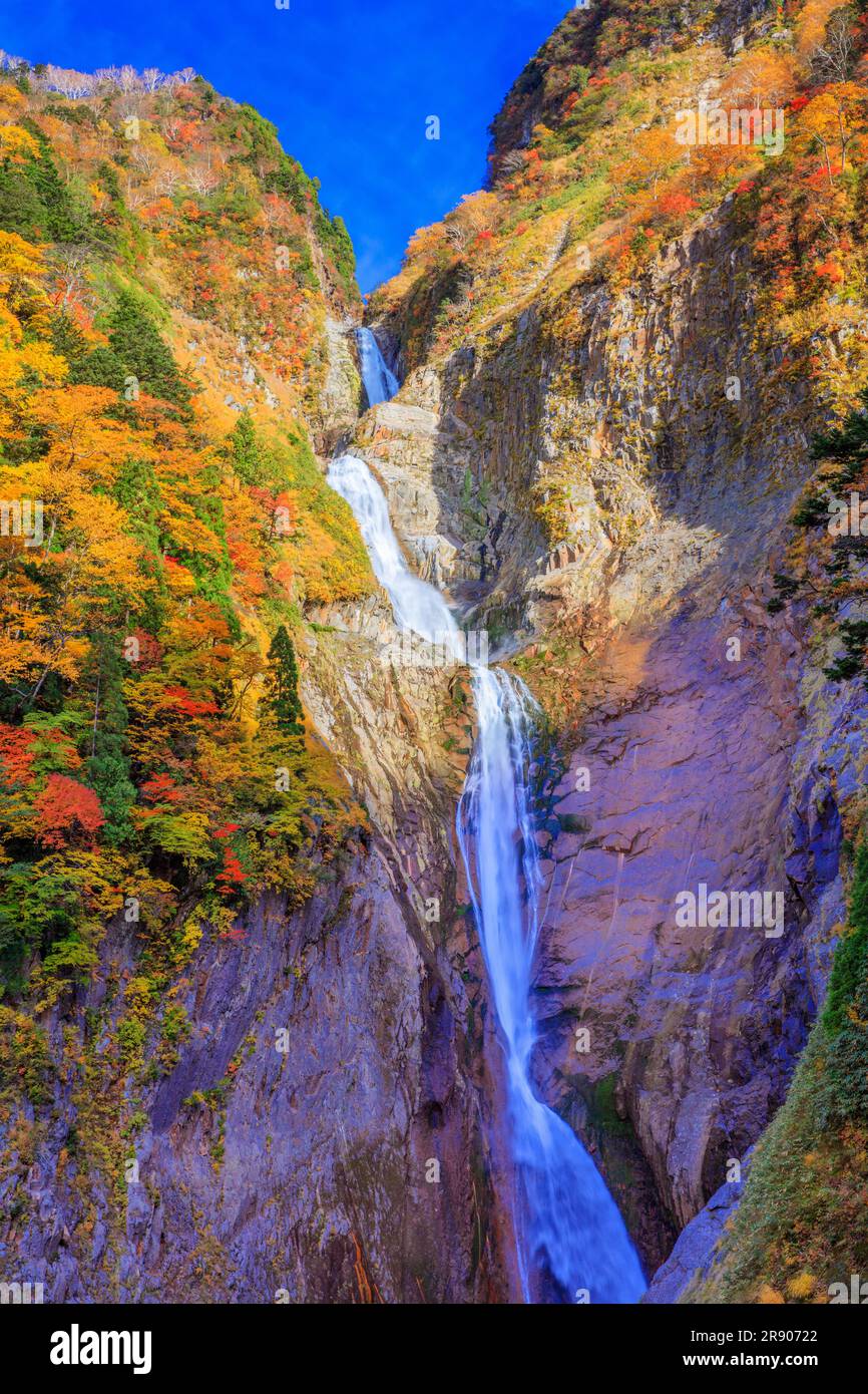 Shomyo Falls in Autumn Leaves Stock Photo - Alamy