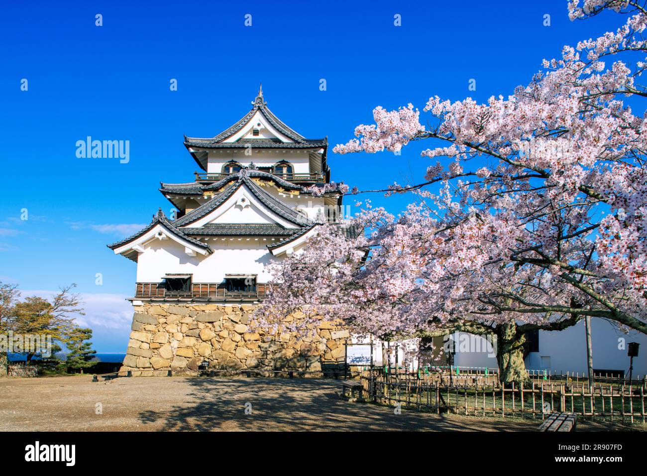 Hikonejo hi-res stock photography and images - Alamy