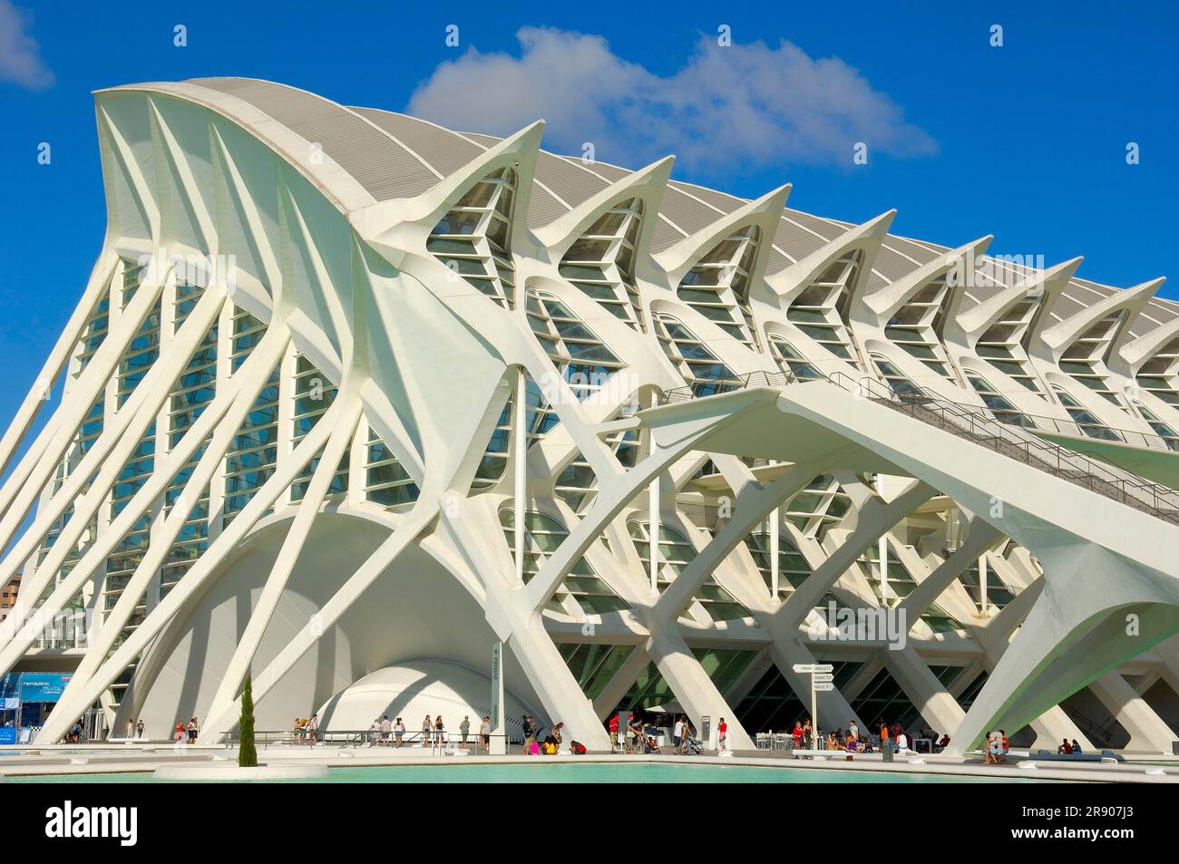 Science Museum Museu de les Ciencies Principe Felipe, architect ...