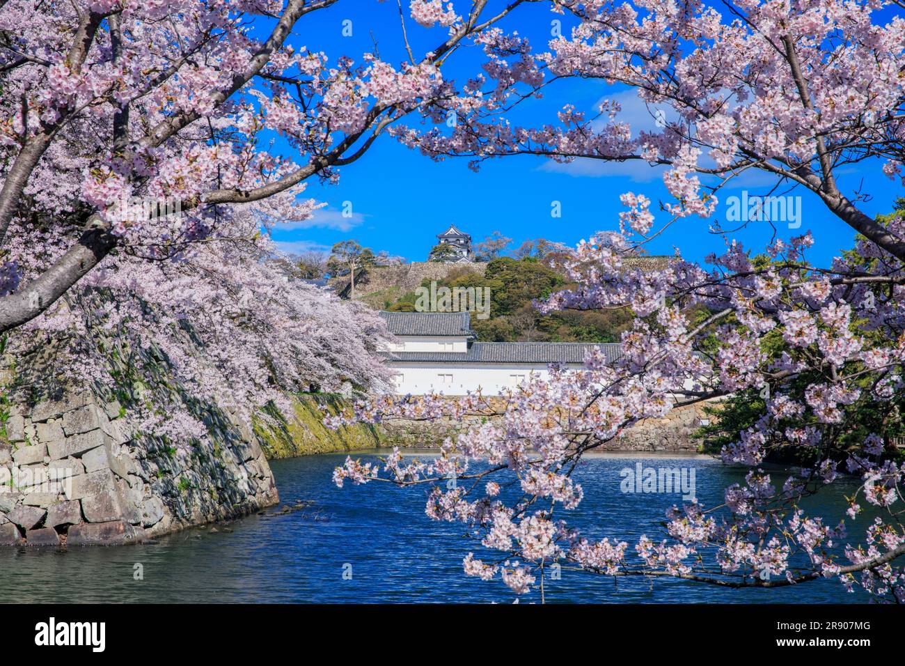 Hikonejo hi-res stock photography and images - Alamy