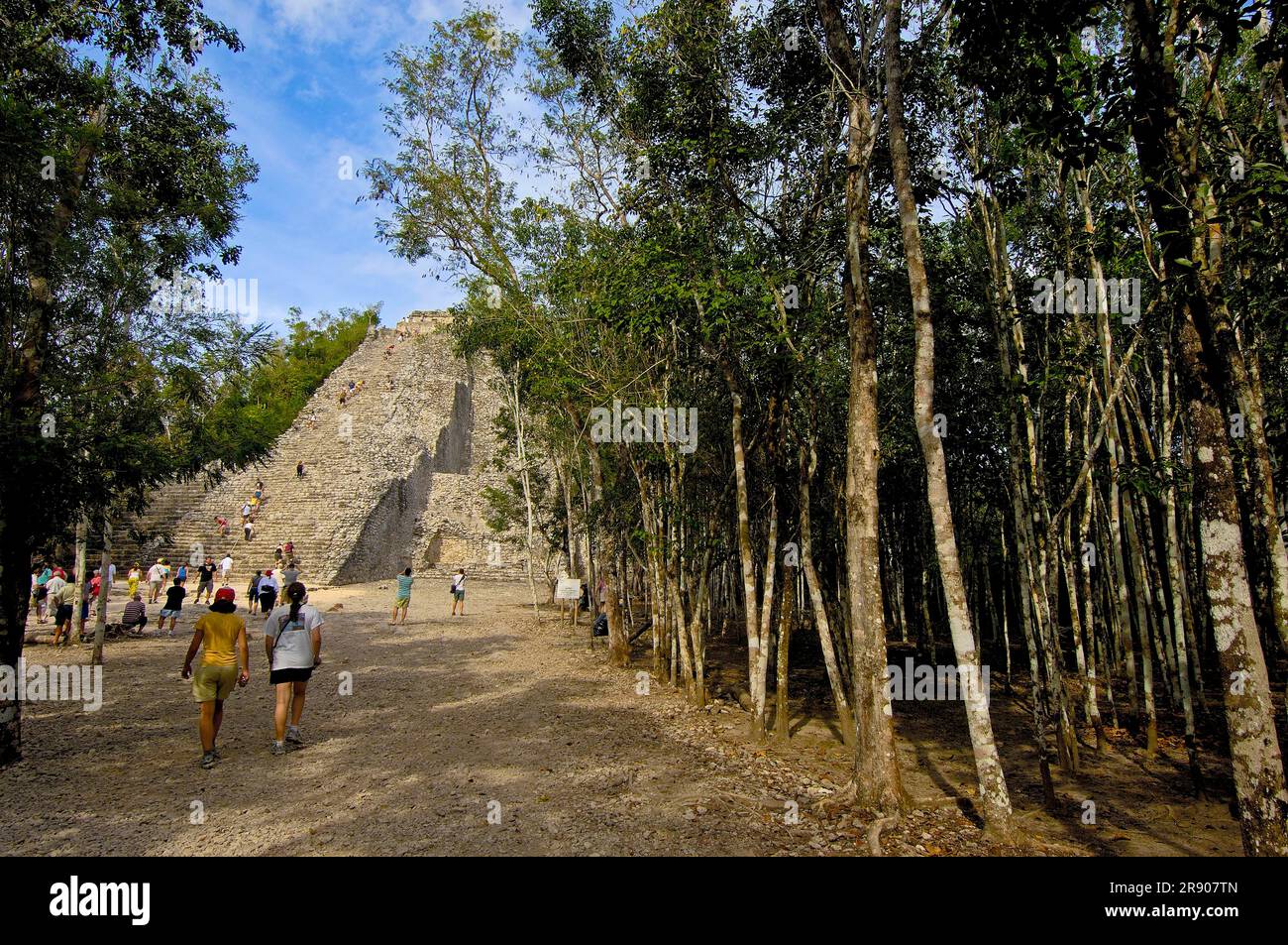 Nohoch Mul Pyramid, Mayan Ruins of Coba, Caribe, Quintana Roo, Riviera ...