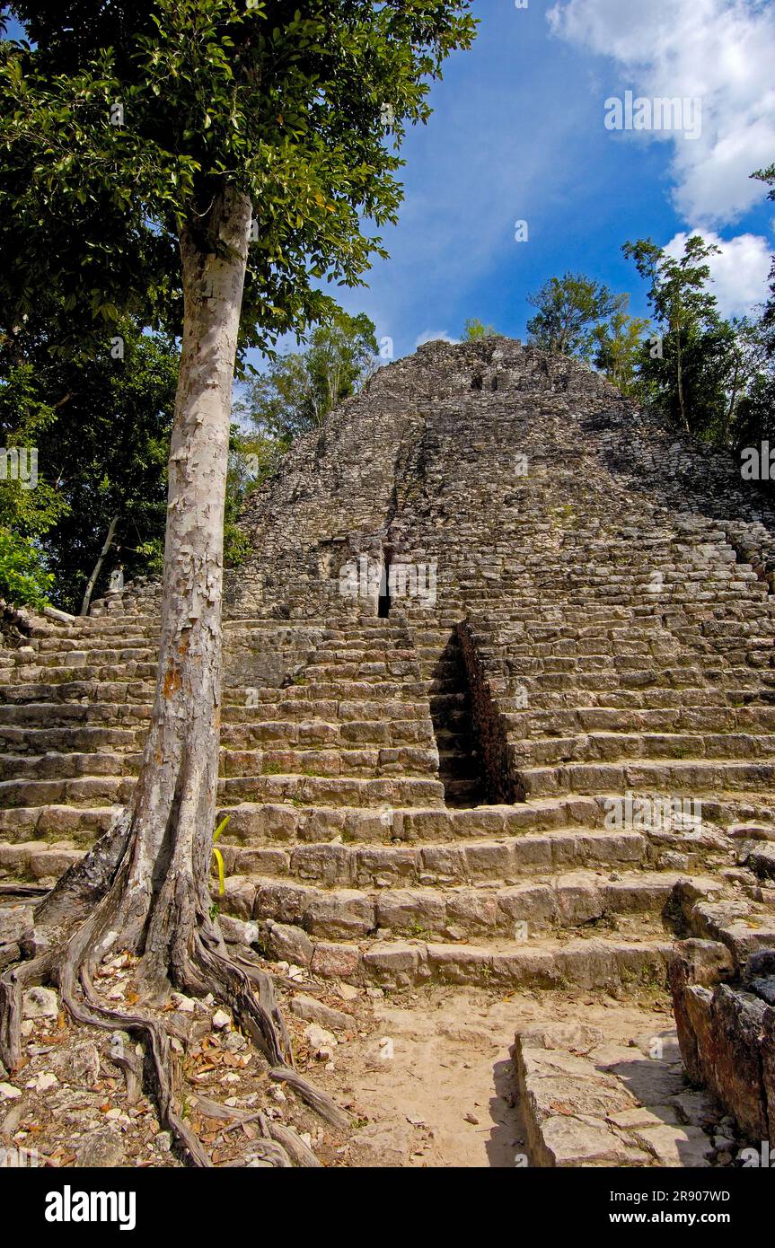 Mayan Ruins of Coba, Caribe, Quintana Roo, Riviera Maya, Yucatan ...