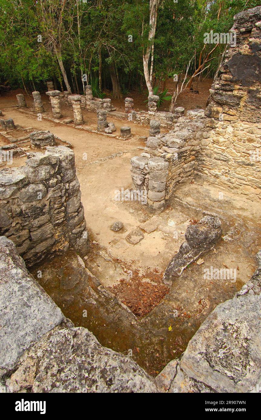 Mayan Ruins of Coba, Caribe, Quintana Roo, Riviera Maya, Yucatan ...