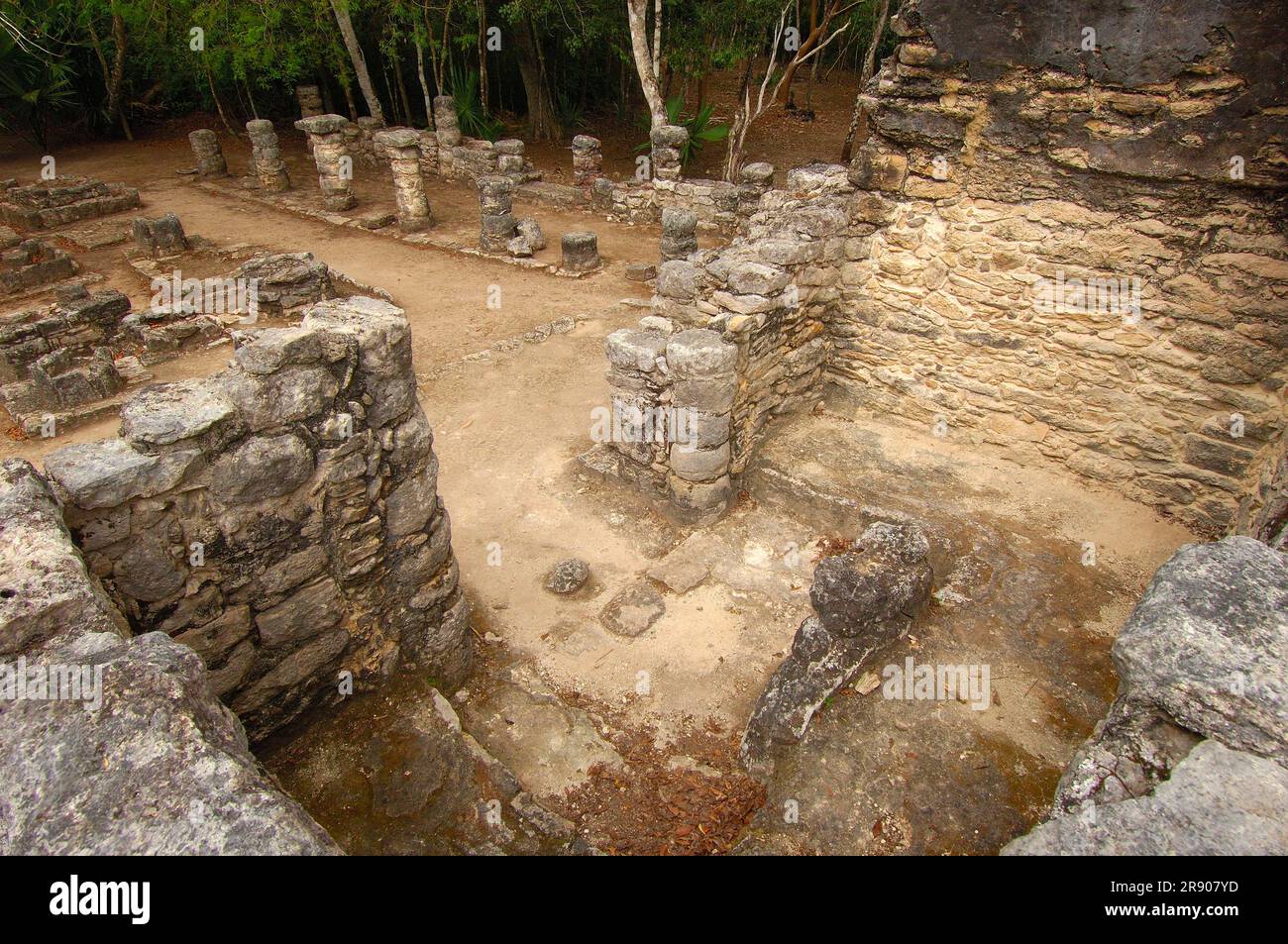 Mayan Ruins of Coba, Caribe, Quintana Roo, Riviera Maya, Yucatan ...