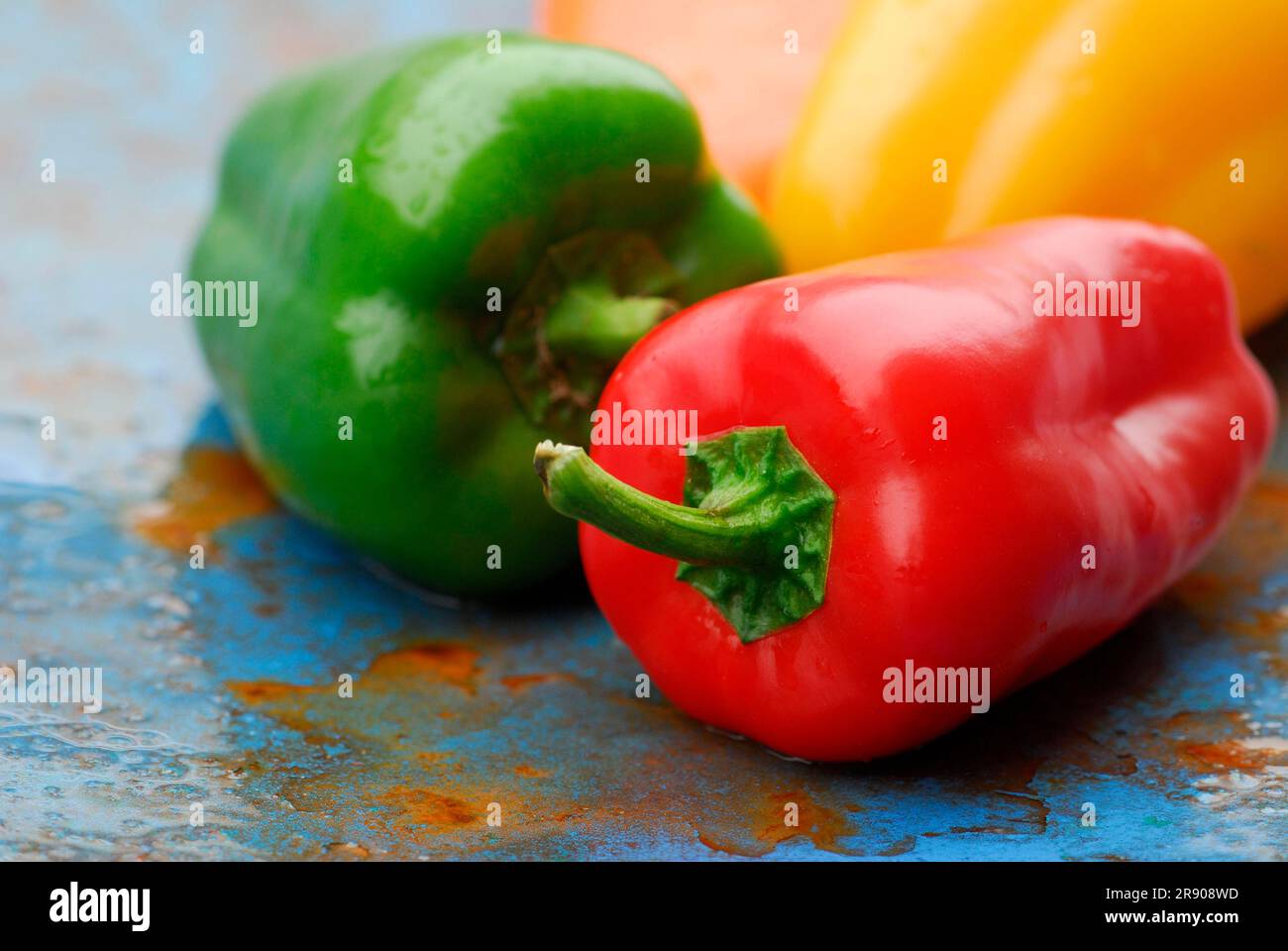 Multicolored bell peppers hi-res stock photography and images - Alamy