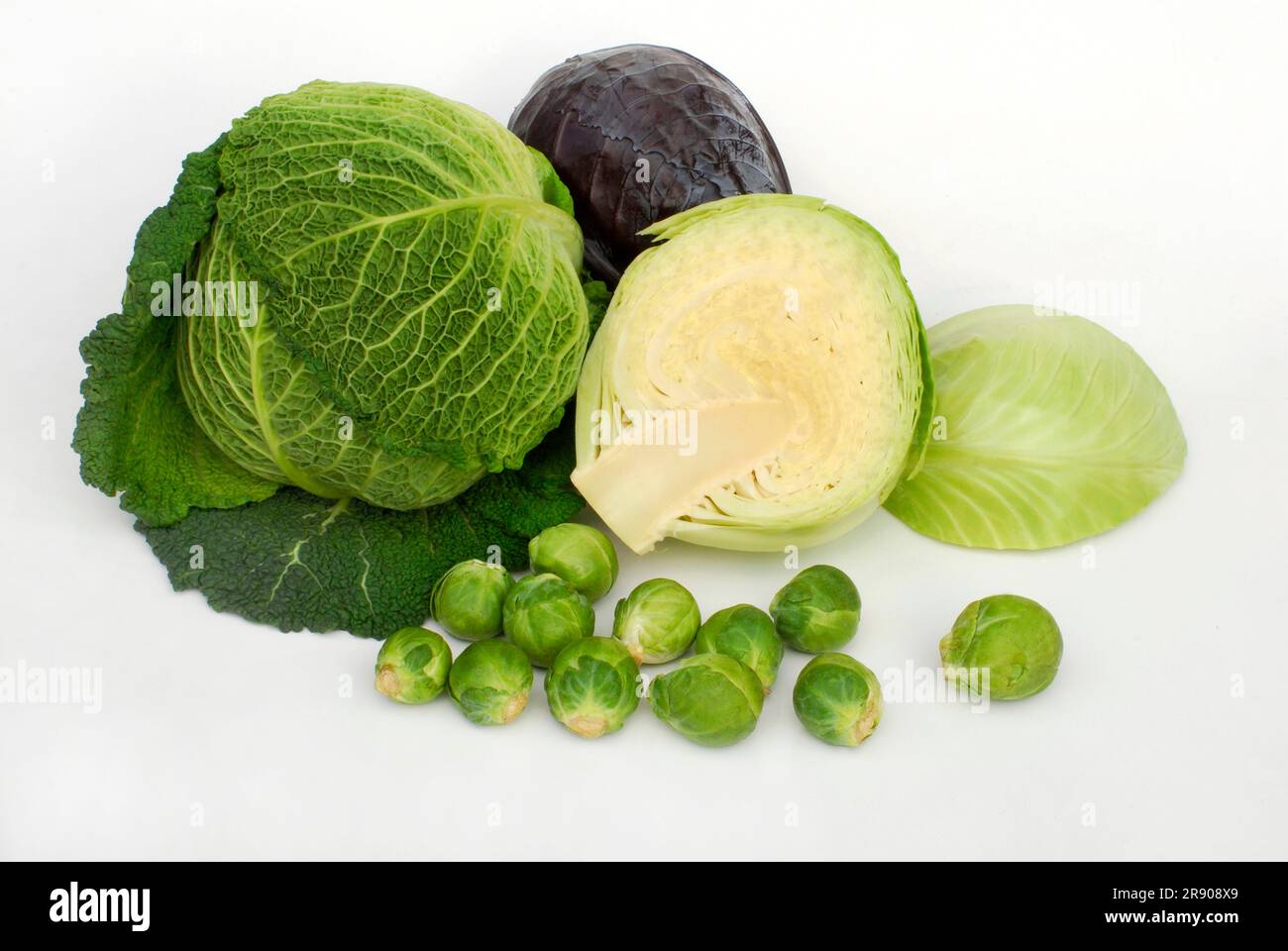Various types of cabbage, savoy cabbage, white cabbage, red cabbage and ...