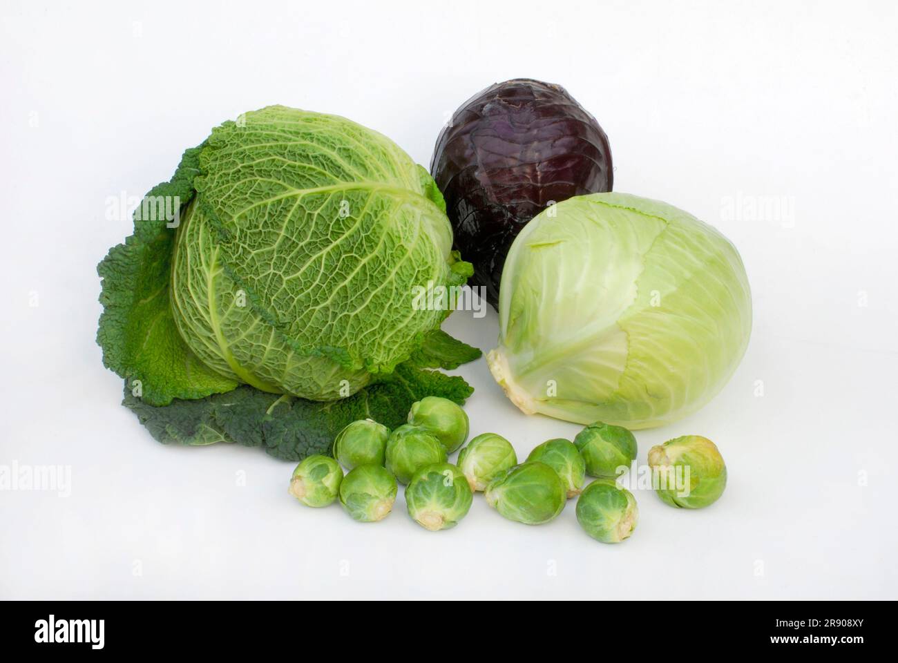 Various types of cabbage, savoy cabbage, white cabbage, red cabbage and ...