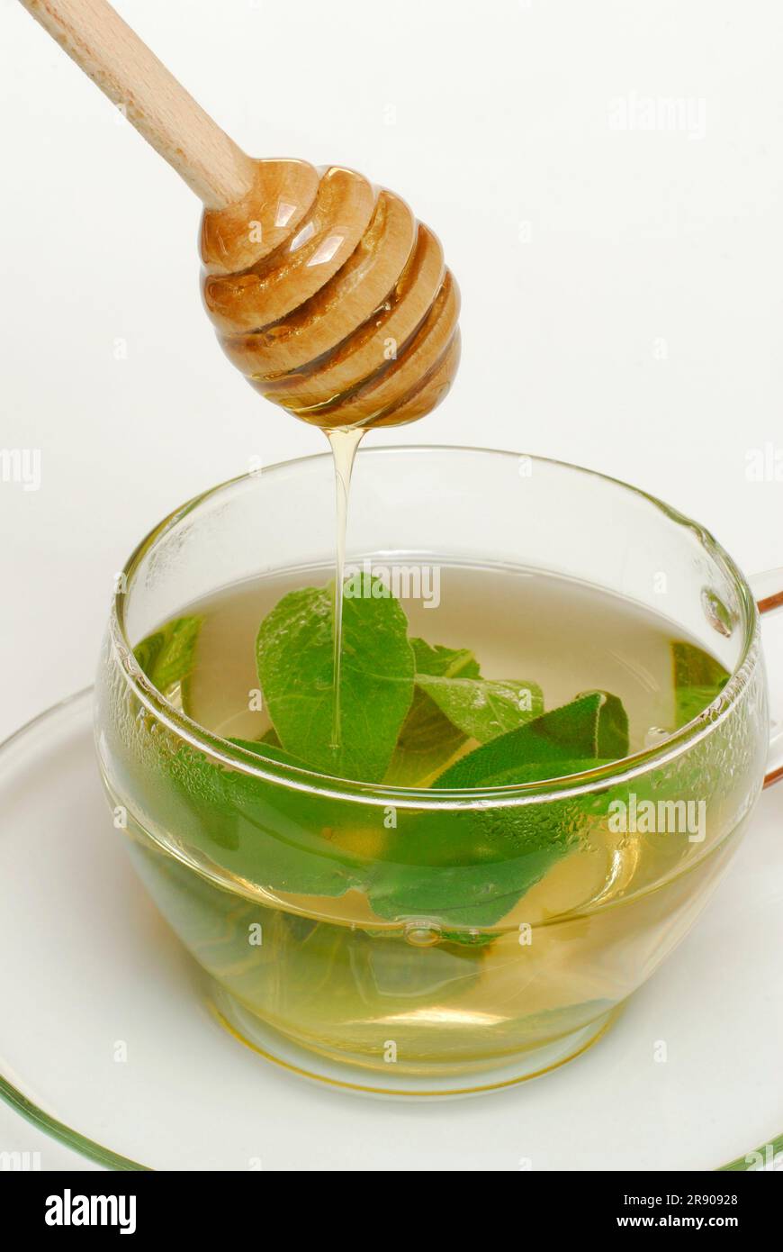Cup of sage tea with honey, Common sage (Salvia officinalis Stock Photo ...