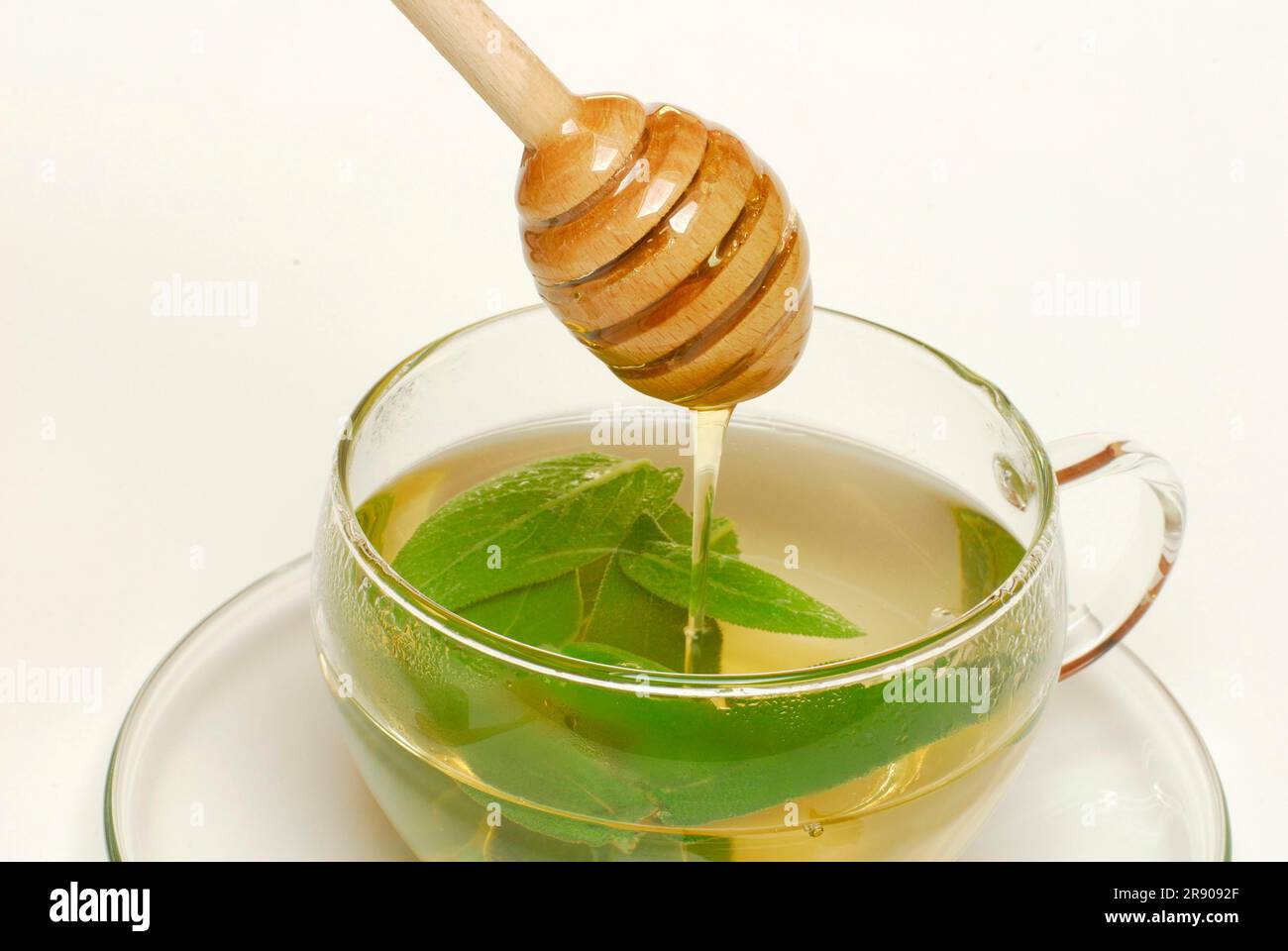 Cup of sage tea with honey, Common sage (Salvia officinalis Stock Photo ...
