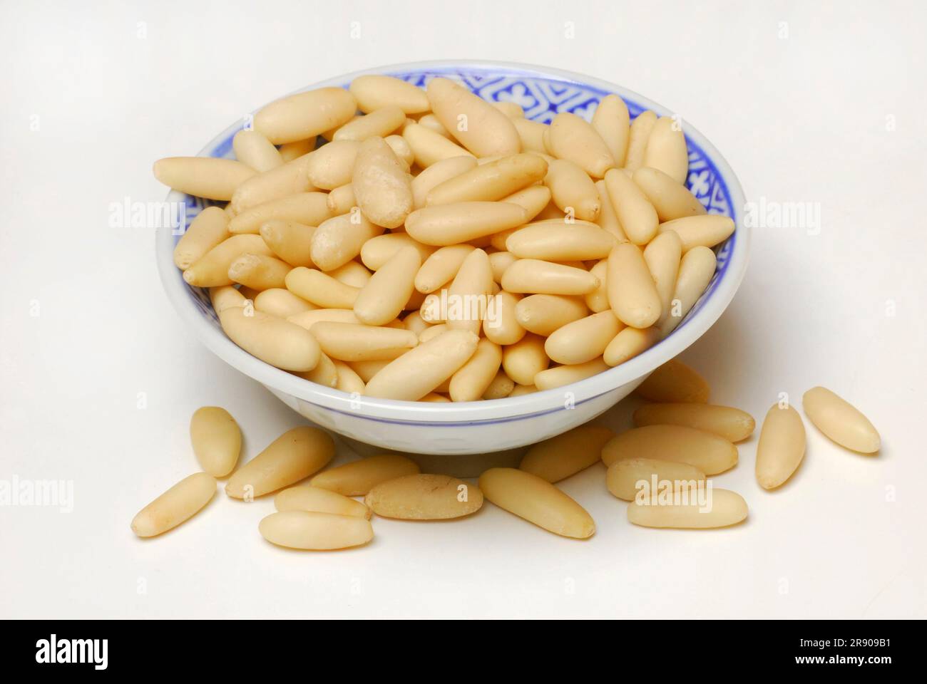 Stone Pineskernels (Pinus pinea) in shell Stock Photo - Alamy