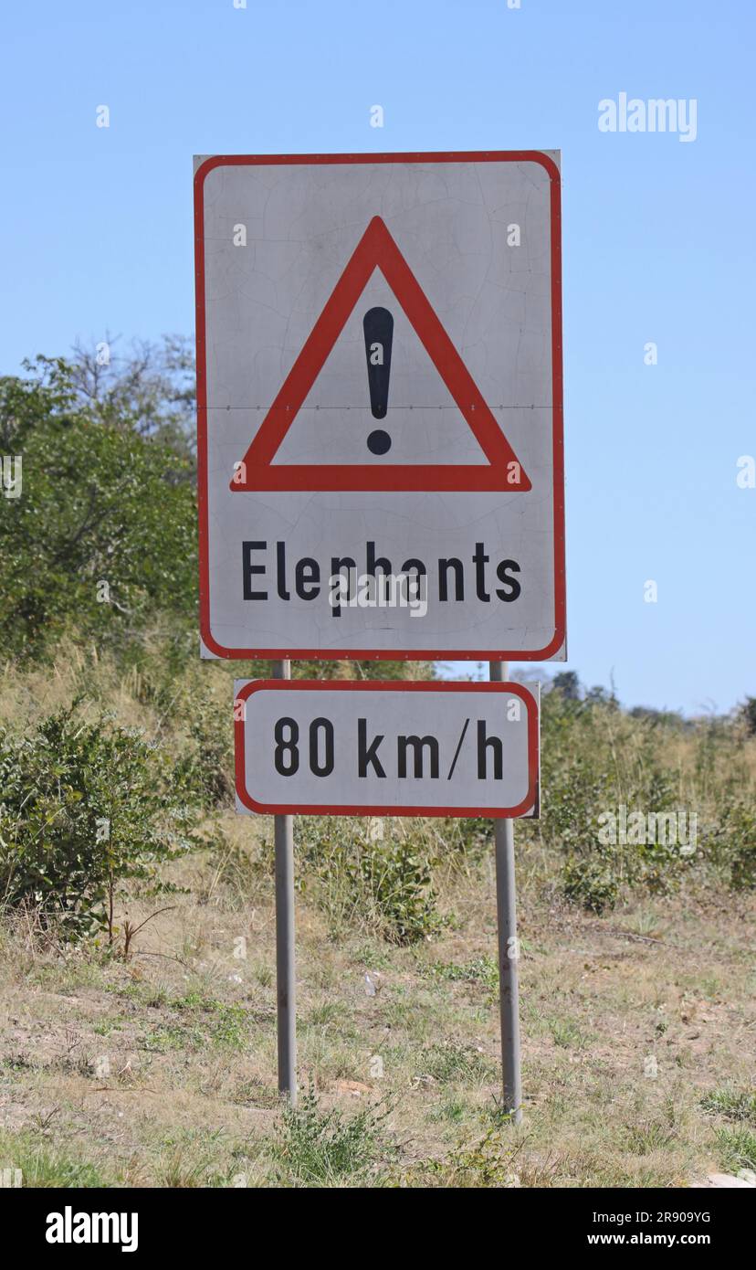 Speed limit because of elephants, Namibia Stock Photo - Alamy