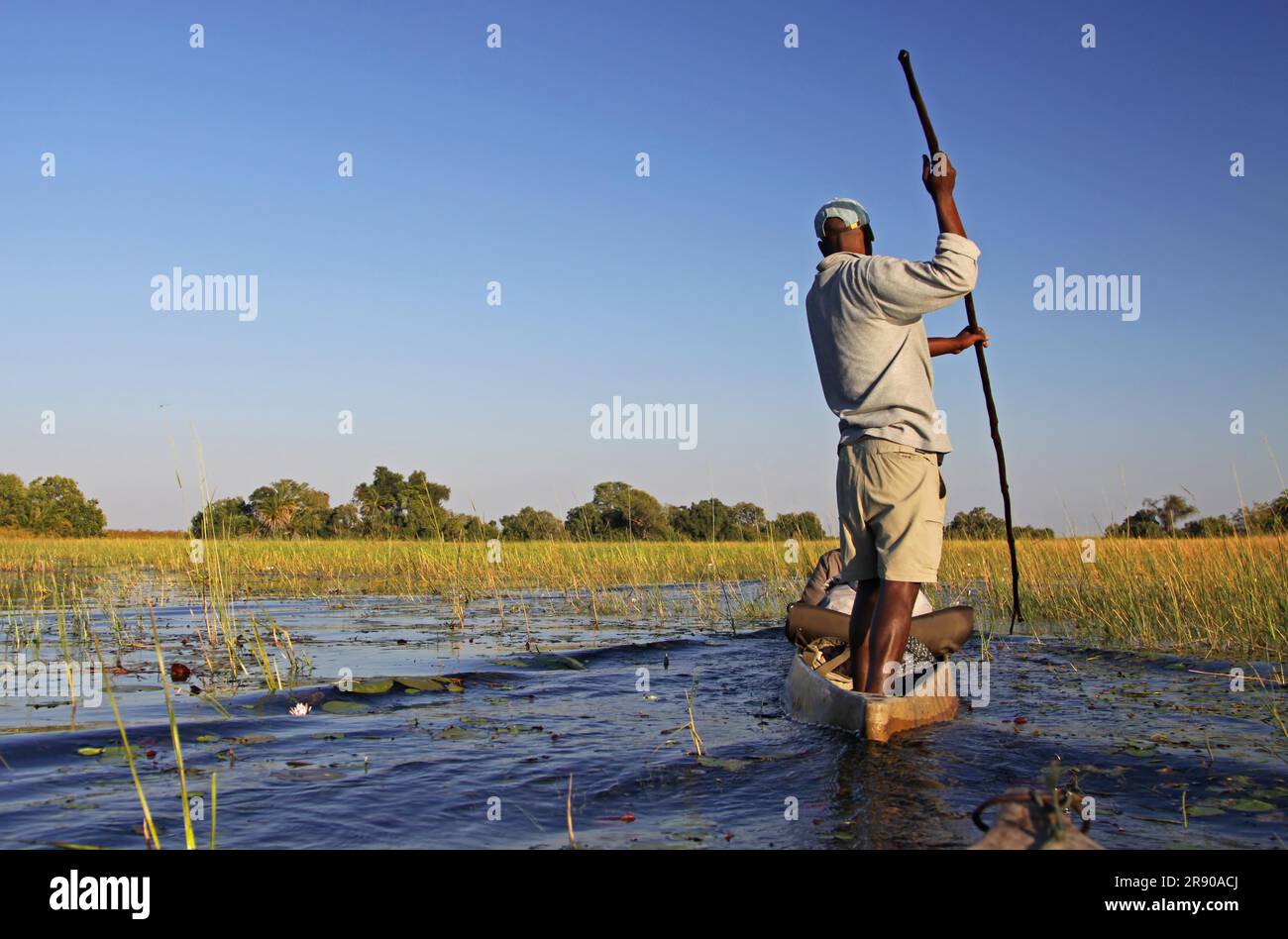Okavango inland delta hi-res stock photography and images - Alamy