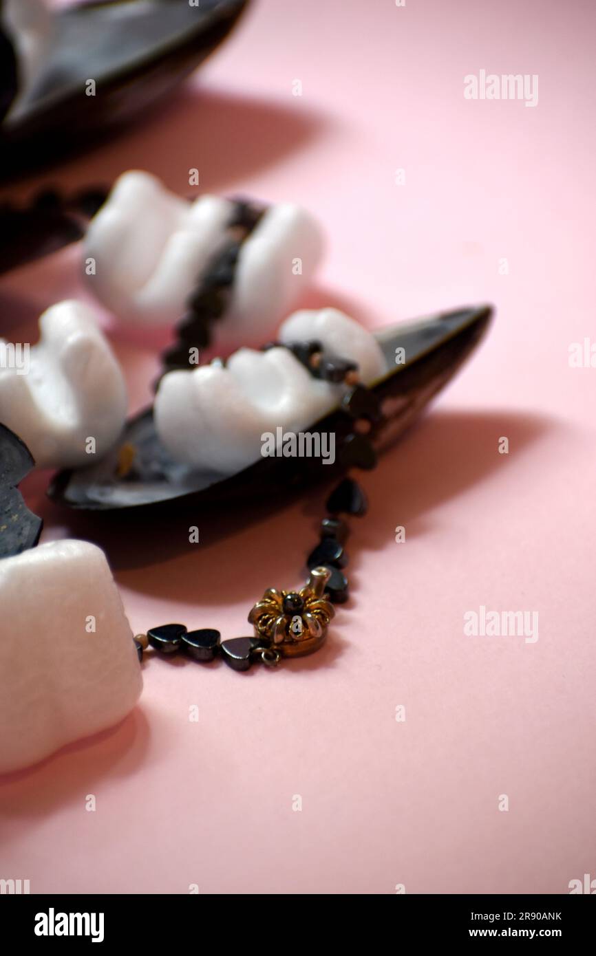 An ordinary necklace in a clamshell Stock Photo - Alamy