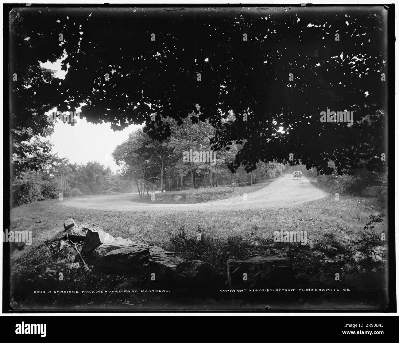 Ile royal Black and White Stock Photos & Images - Alamy