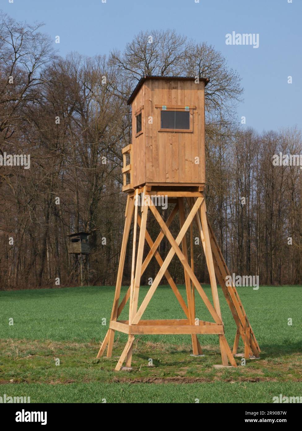 Hunting stand at the edge of the forest, high seat Stock Photo - Alamy