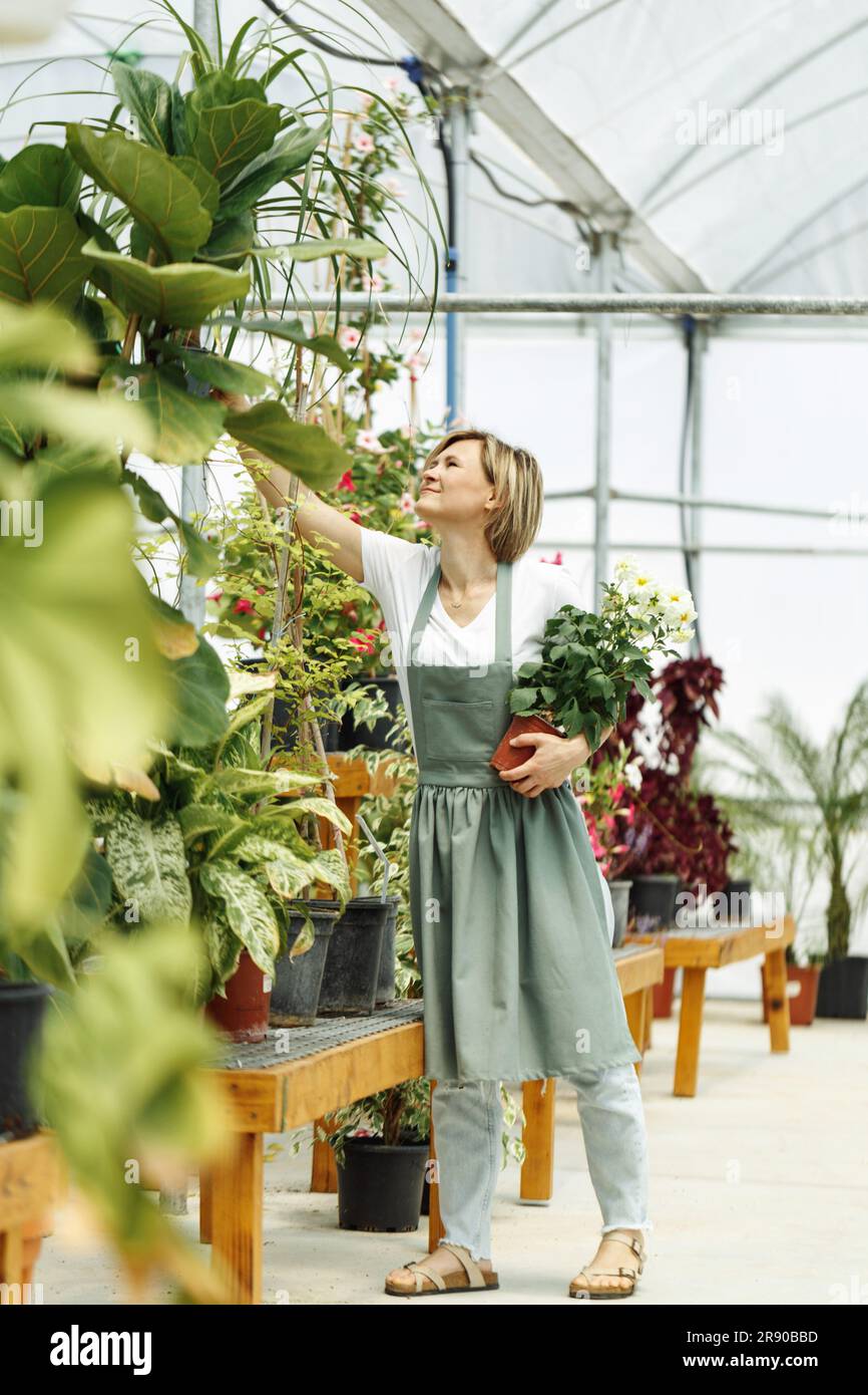 Portrait of smiling young botanist holding a fresh flower plant. Young ...