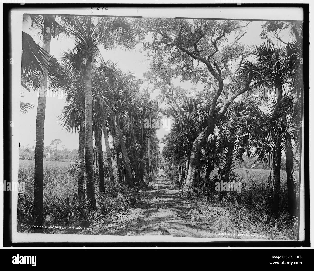 Ormond beach florida Black and White Stock Photos & Images - Alamy