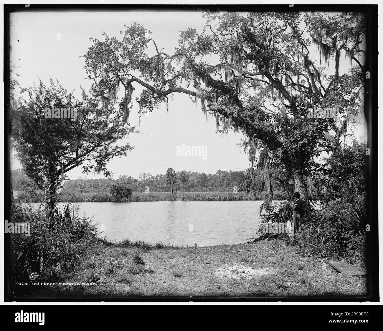 The ferry, Tomoka River, c1894 Stock Photo - Alamy