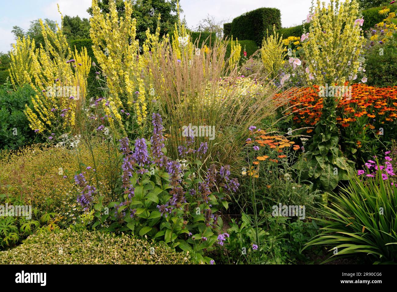 Flower bed, perennial garden Stock Photo - Alamy