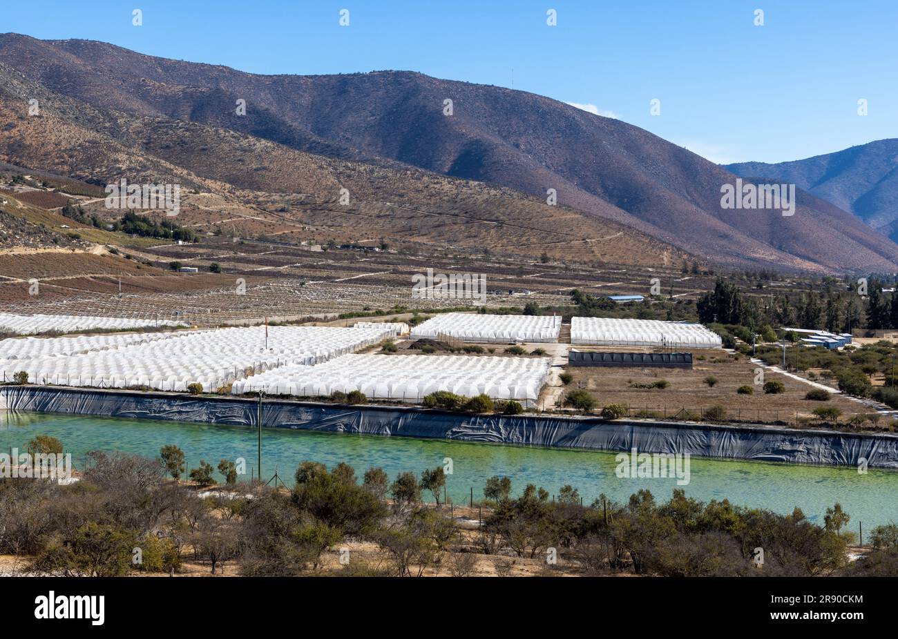 Greenhouses and a big basin filled with water for citriculture in ...