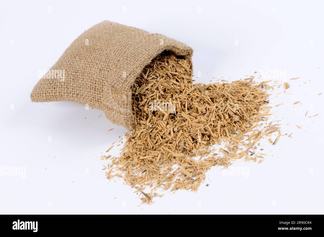 Muira (Ptychopetalum olacoides) puama (Liriosma ovata), mara puama ...