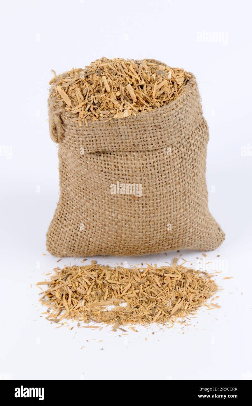 Muira (Ptychopetalum olacoides) puama (Liriosma ovata), mara puama ...