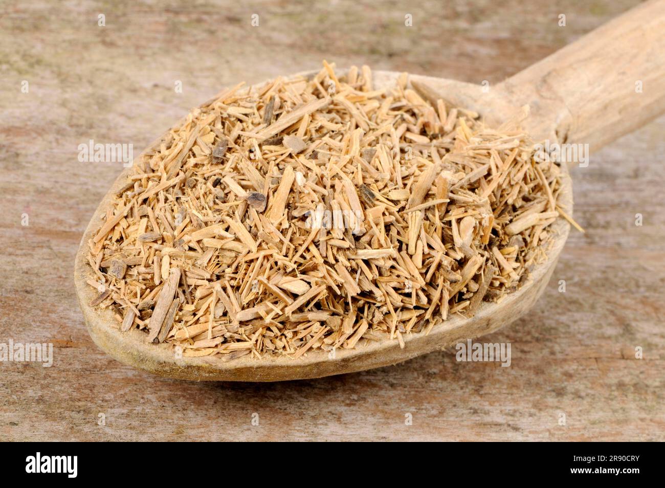 Ptychopetalum olacoides hi-res stock photography and images - Alamy