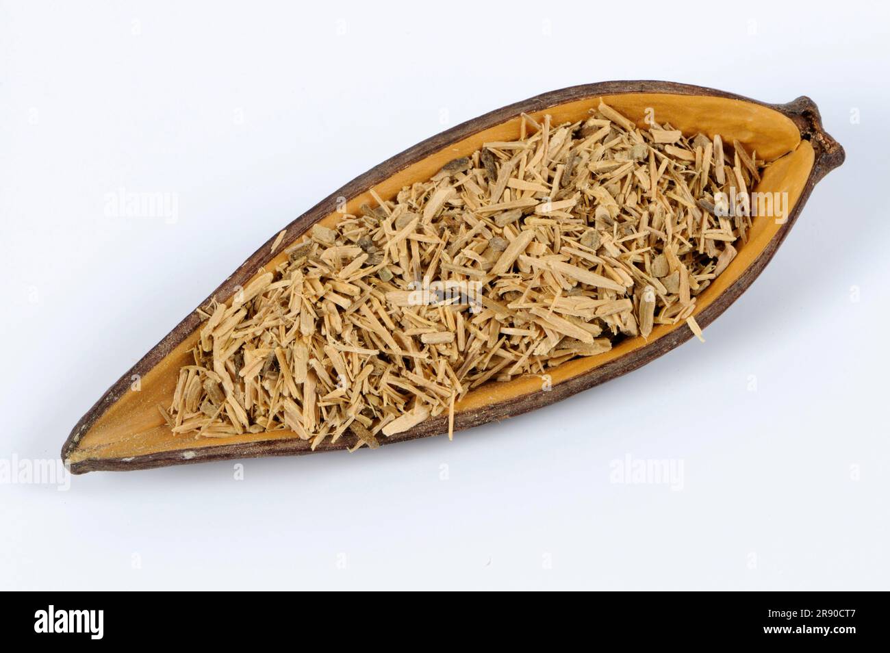 Muira (Ptychopetalum olacoides) puama (Liriosma ovata), mara puama ...