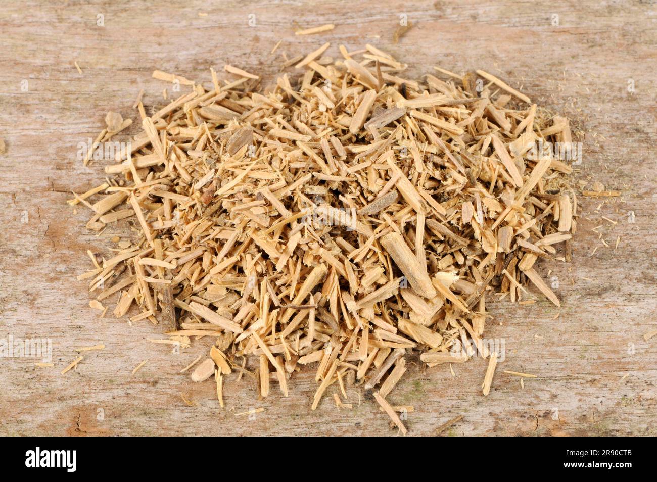 Ptychopetalum olacoides hi-res stock photography and images - Alamy