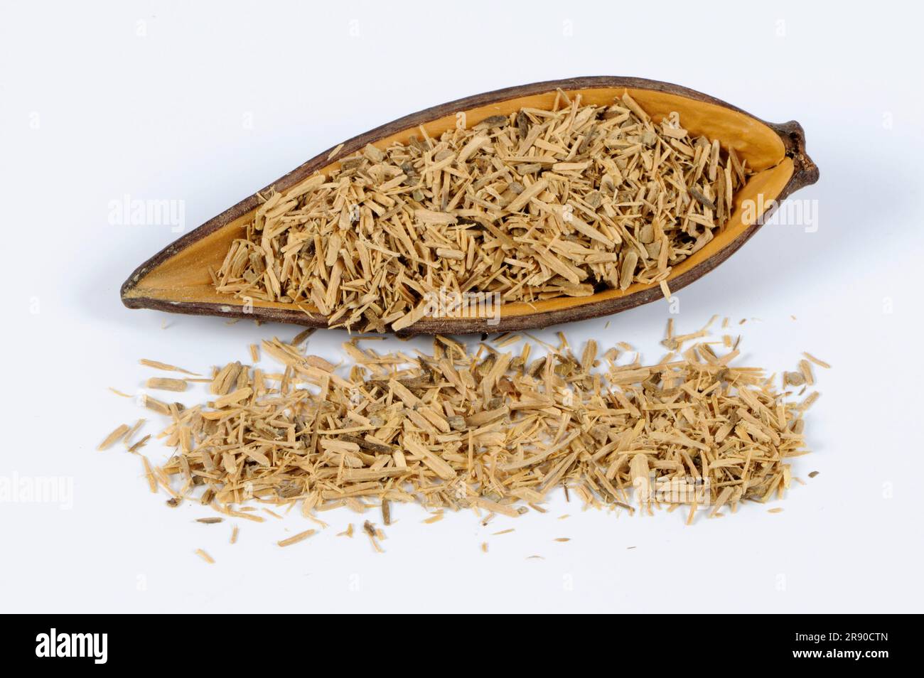 Muira (Ptychopetalum olacoides) puama (Liriosma ovata), mara puama ...