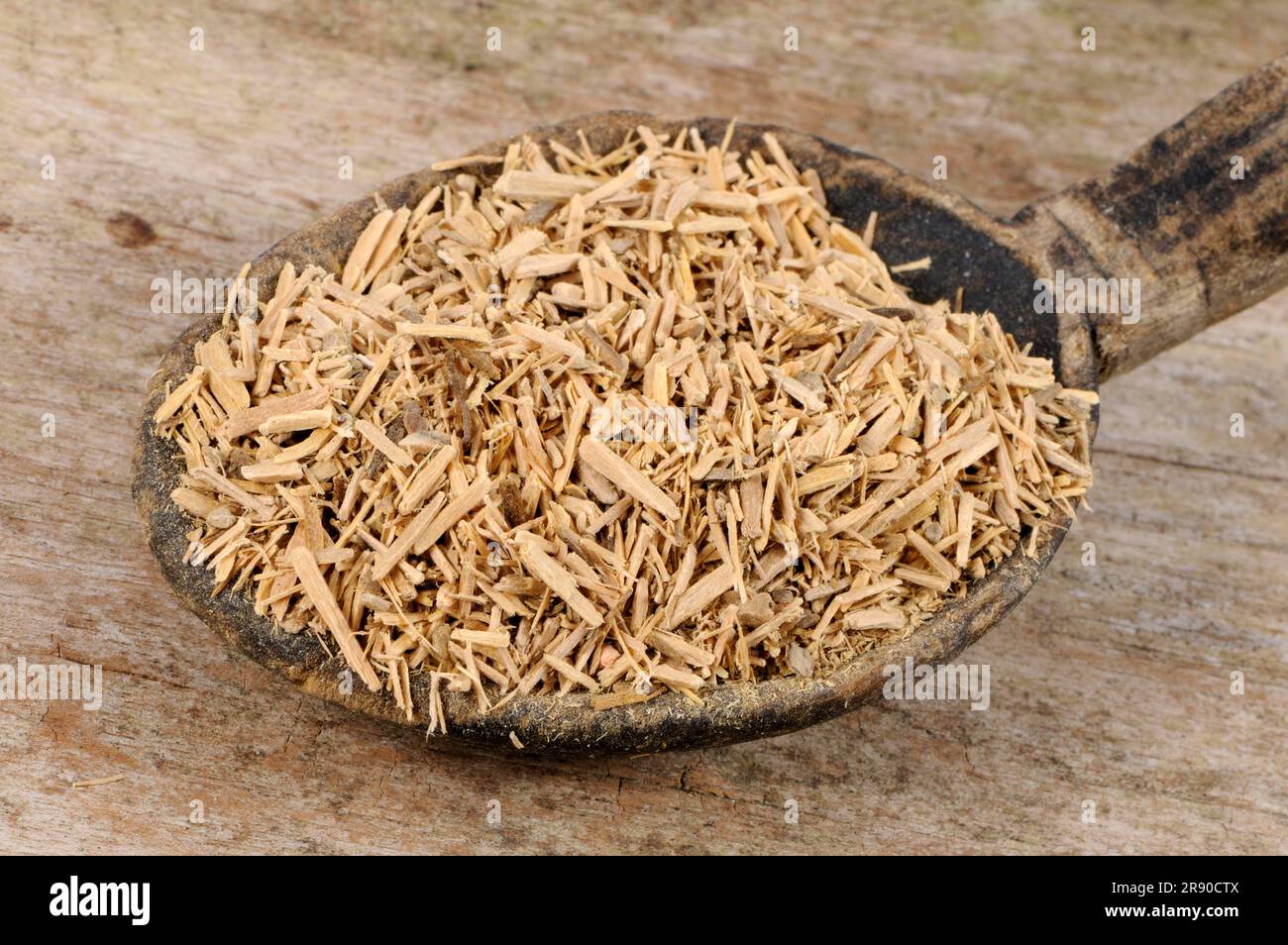 Muira (Ptychopetalum olacoides) Puama (Liriosma ovata), Mara Puama ...