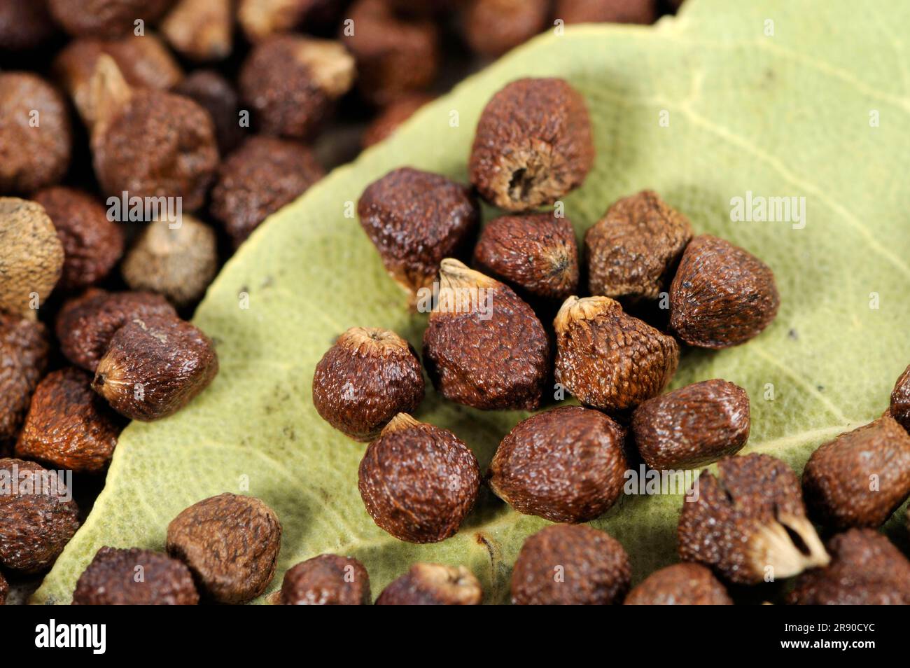 Grains of Paradise, Guinea Pepper, Malagetta Pepper, Melegueta Pepper ...