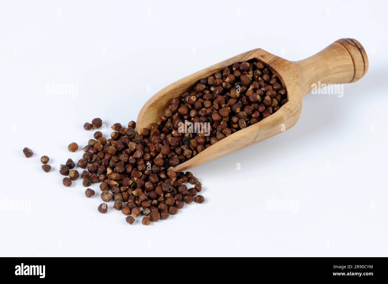 Grains of Paradise, Guinea Pepper, Malagetta Pepper, Melegueta Pepper ...