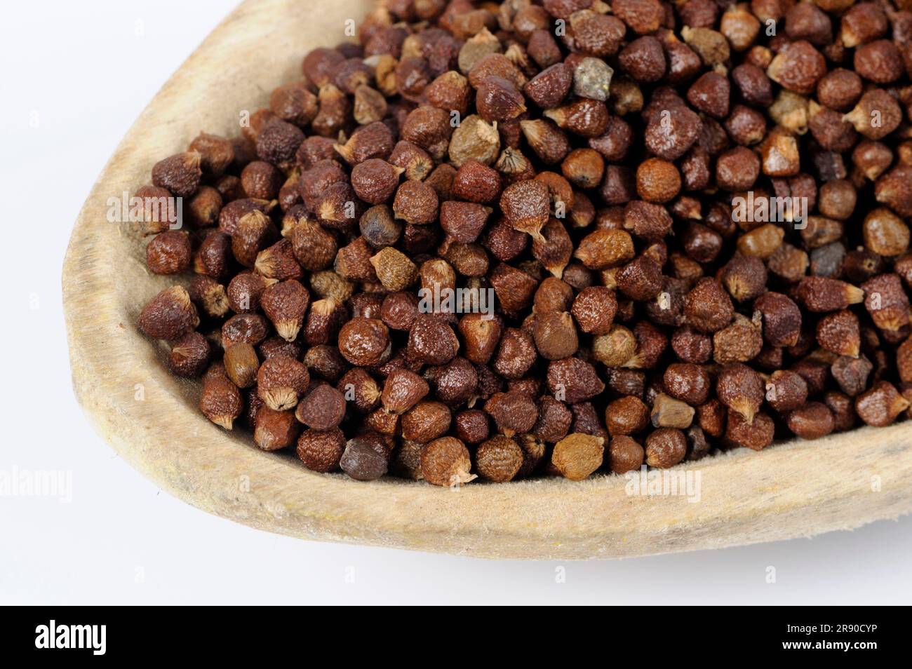 Grains of Paradise, Guinea Pepper, Malagetta Pepper, Melegueta Pepper ...