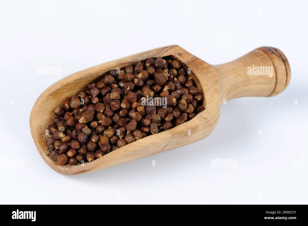 Grains of Paradise, Guinea Pepper, Malagetta Pepper, Melegueta Pepper ...