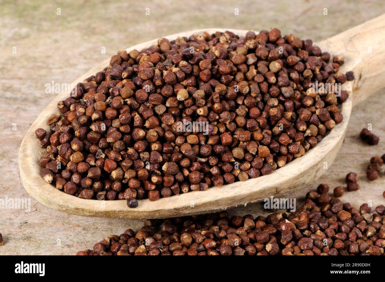 Grains of Paradise, Guinea Pepper, Malagetta Pepper, Melegueta Pepper ...