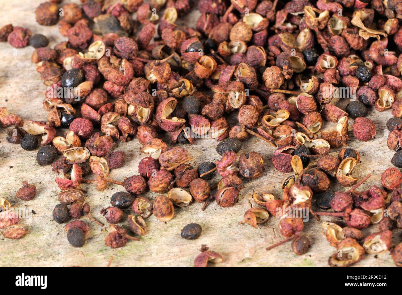 Sichuan pepper (simulans) (bungeanum) (rhetsa) (acanthopodium ...