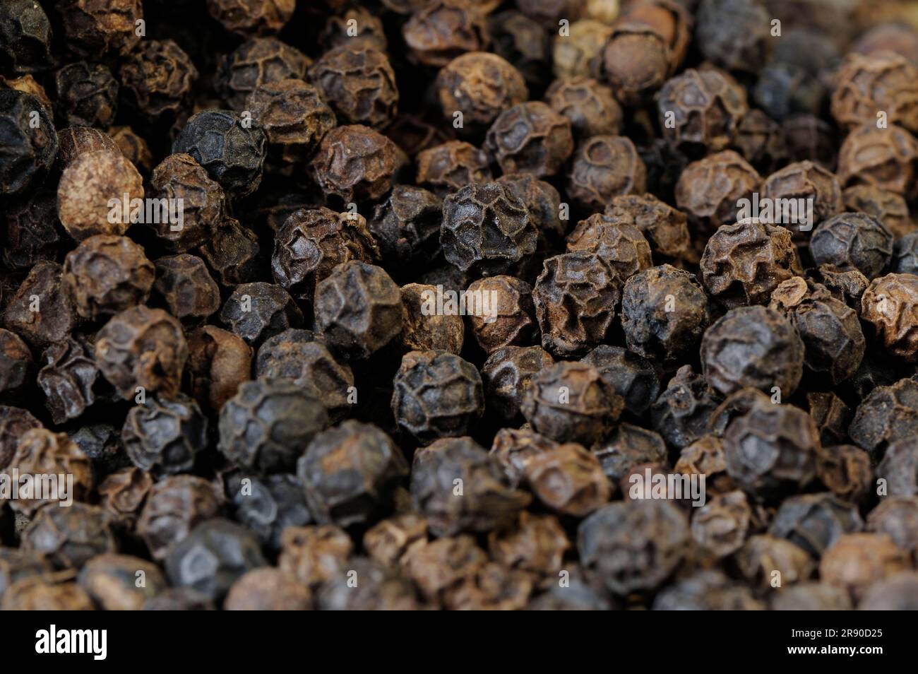 Malabar pepper (Piper nigrum), peppercorn, peppercorns Stock Photo - Alamy