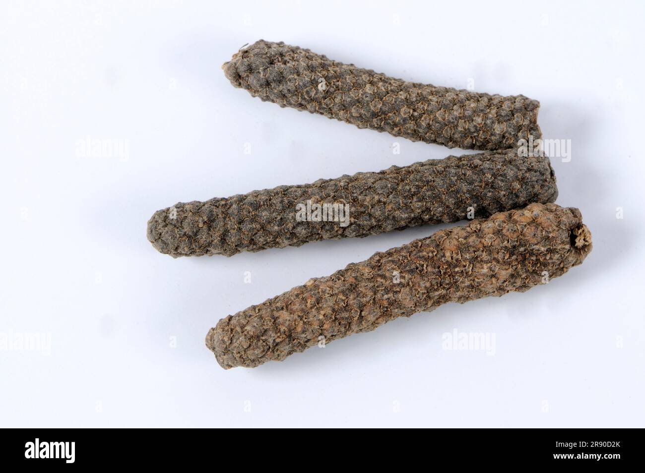 Pippali (Piper longum) (Piper retrofractum) Balinese pepper, Jaborandi ...