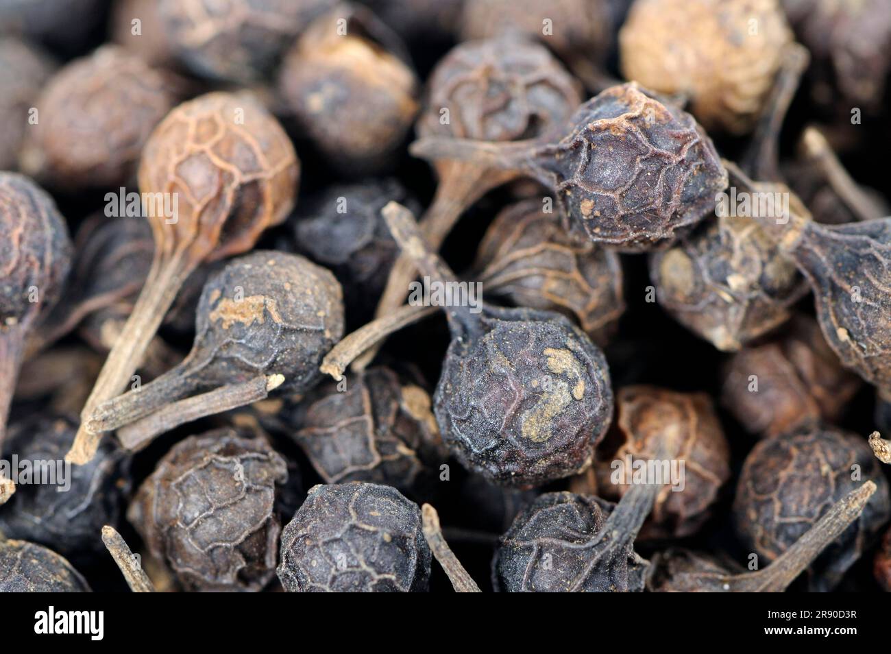 Cubeb pepper (Piper cubeba) , cubeb pepper, cubeb pepper Stock Photo ...