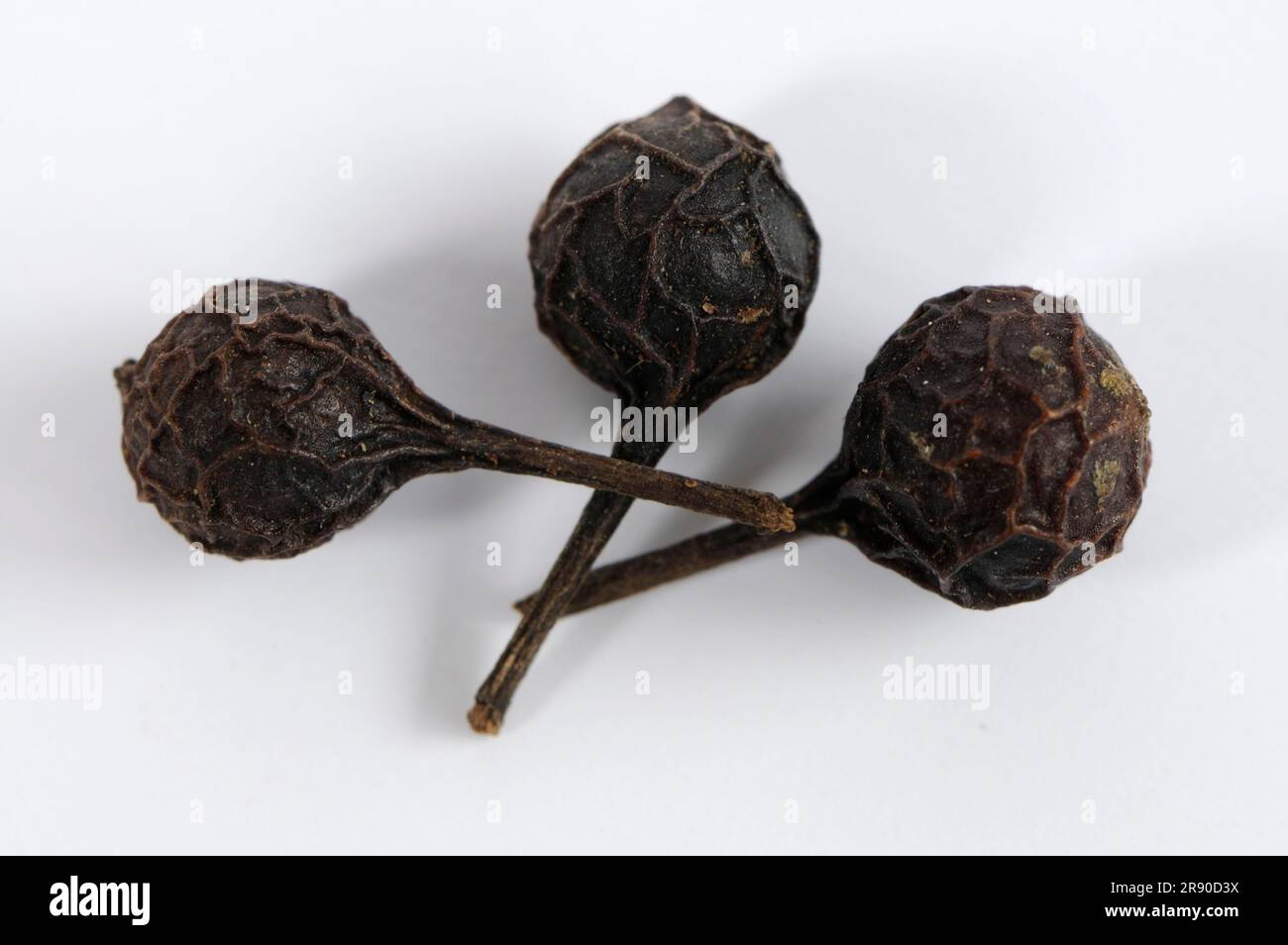 Cubeb pepper (Piper cubeba) , cubeb pepper, cubeb pepper Stock Photo ...