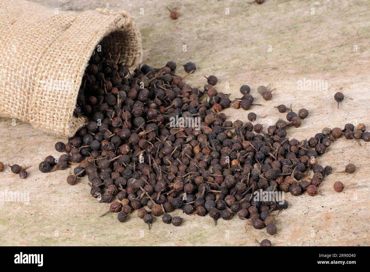 Cubeb pepper (Piper cubeba) , cubeb pepper, cubeb pepper Stock Photo ...