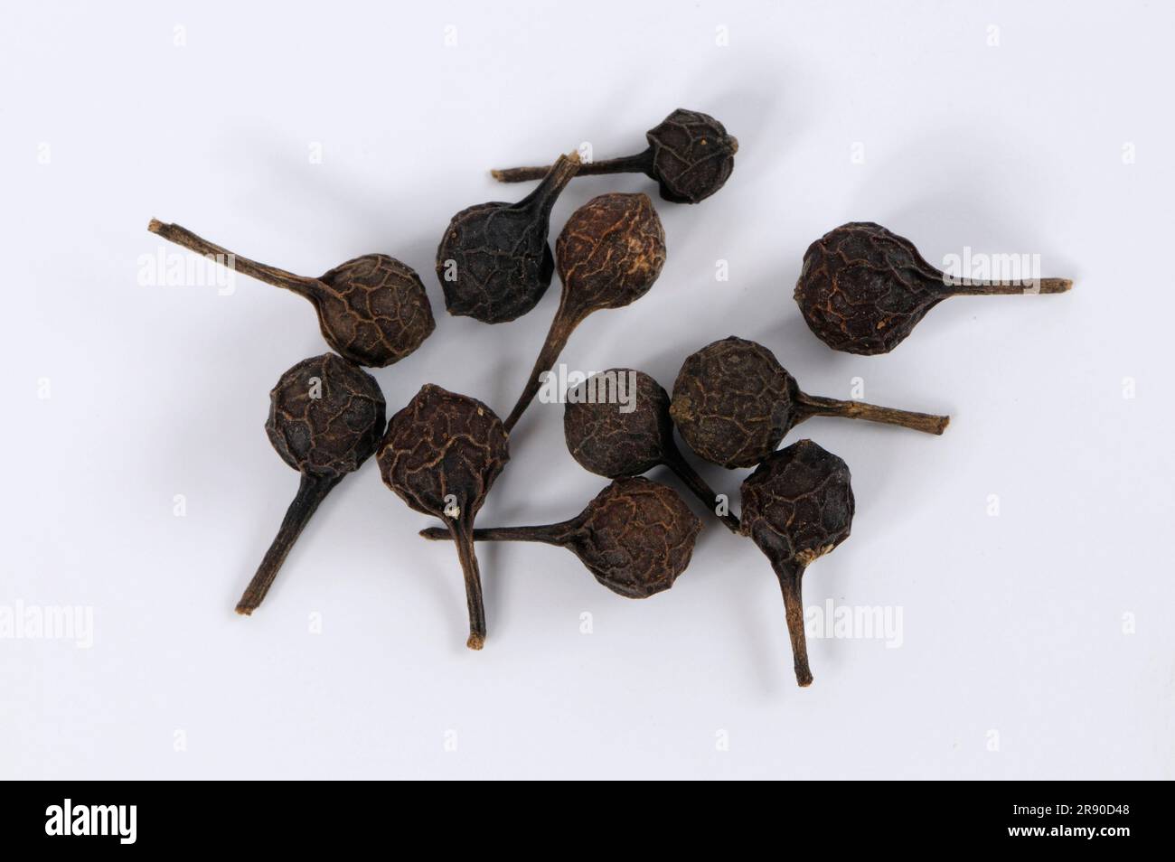 Cubeb pepper (Piper cubeba) , cubeb pepper, cubeb pepper Stock Photo ...