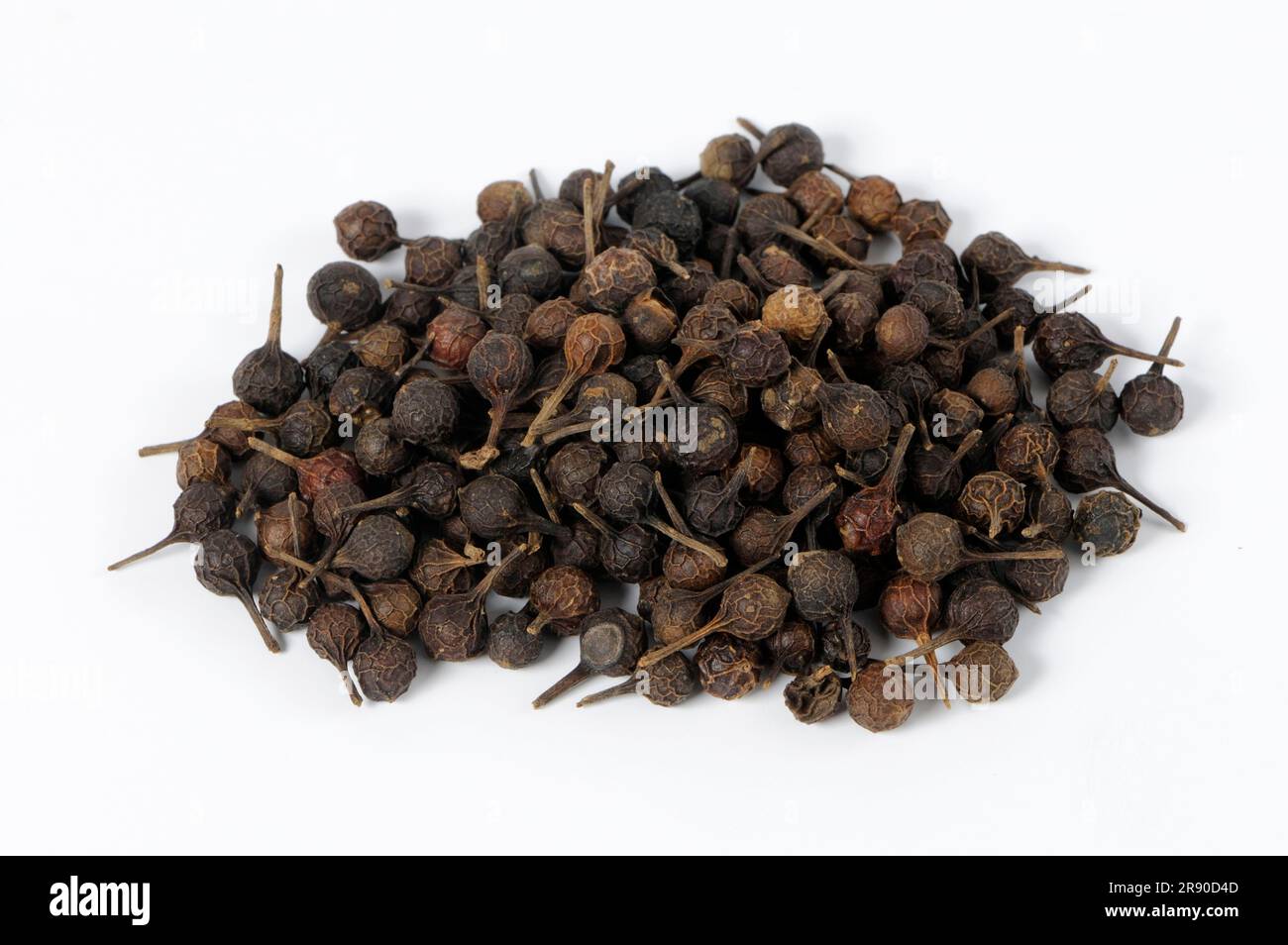 Cubeb pepper (Piper cubeba) , cubeb pepper, cubeb pepper Stock Photo ...