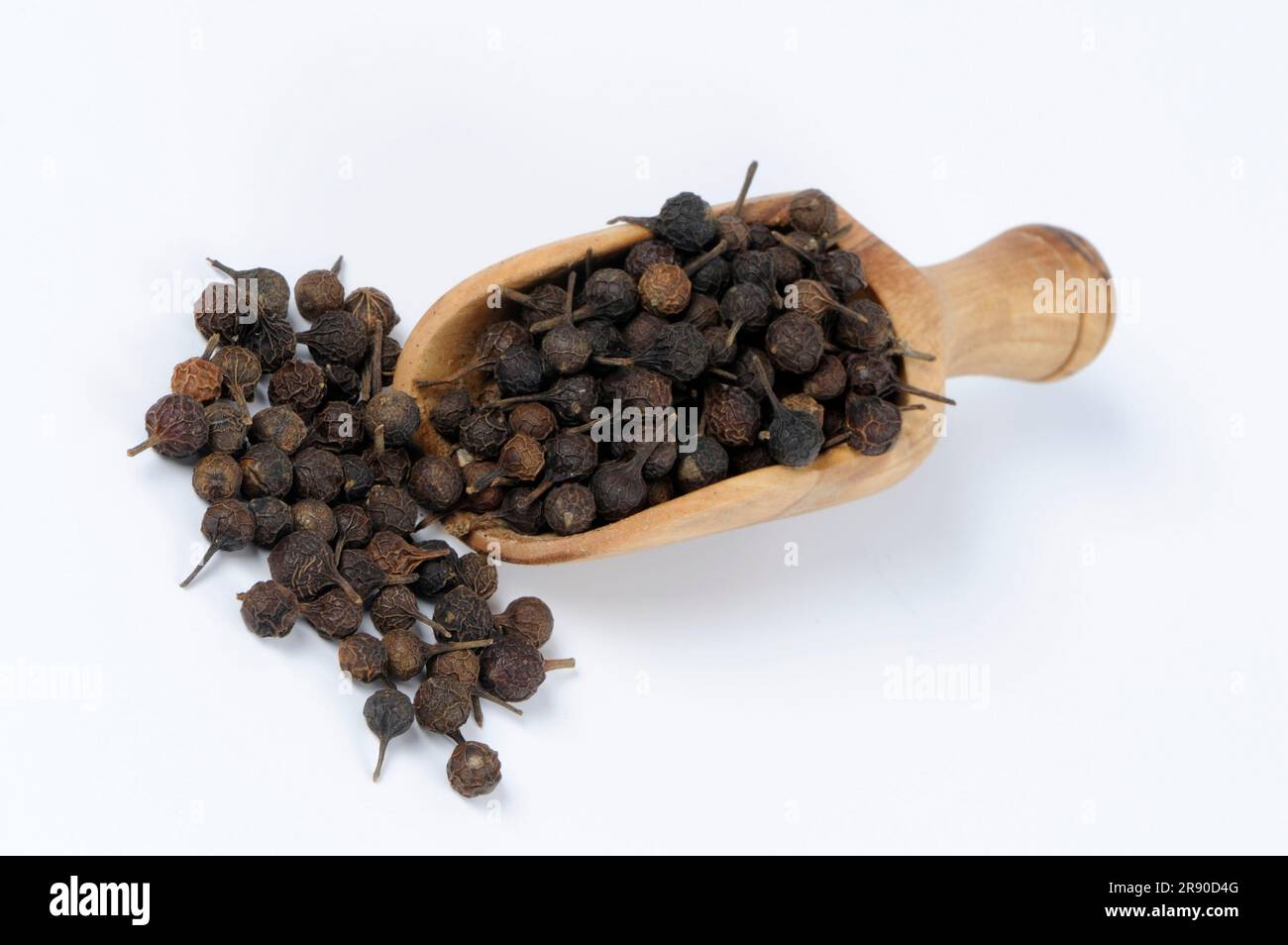 Cubeb pepper (Piper cubeba) , cubeb pepper, cubeb pepper Stock Photo ...