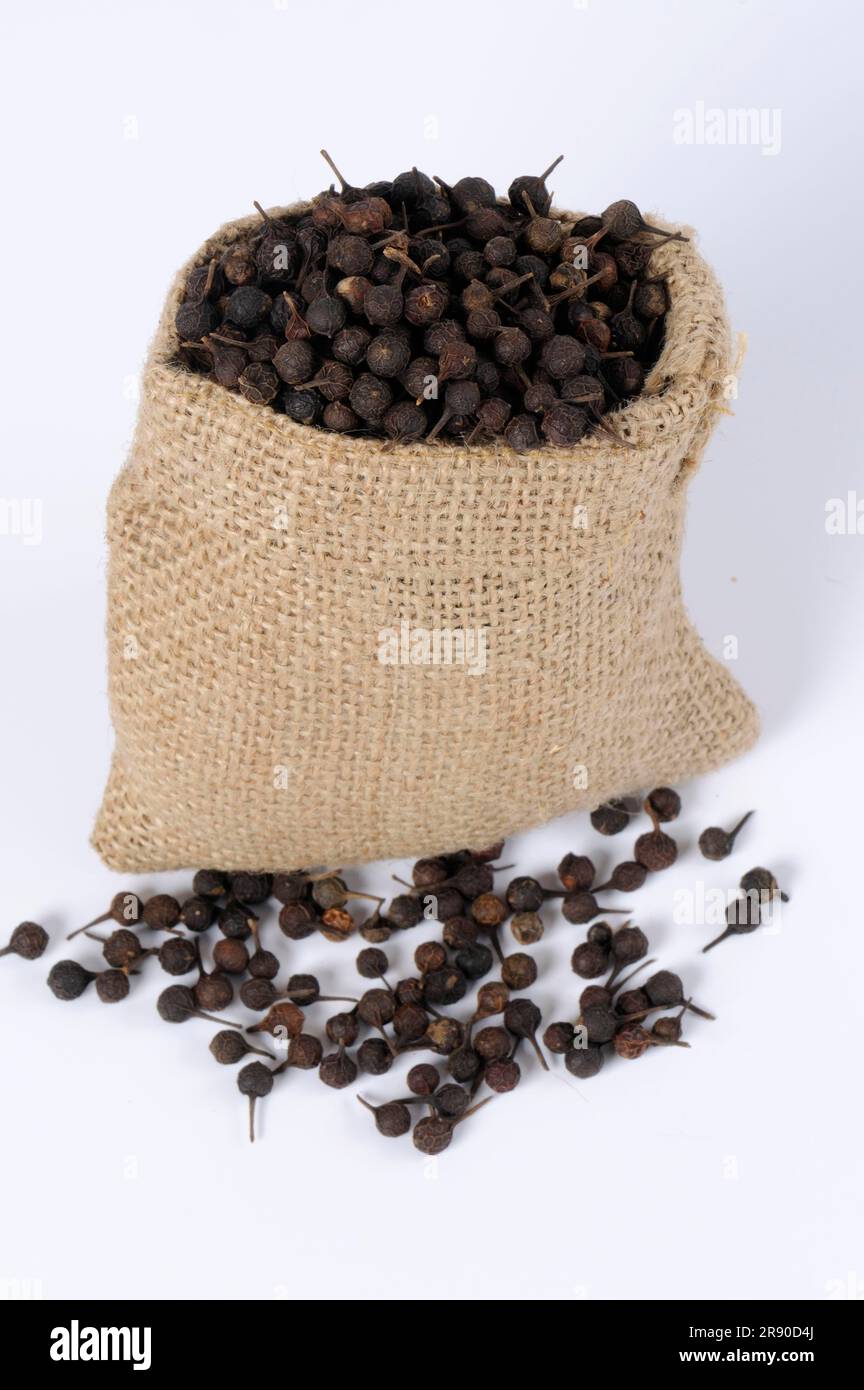 Cubeb pepper (Piper cubeba) , cubeb pepper, cubeb pepper Stock Photo ...